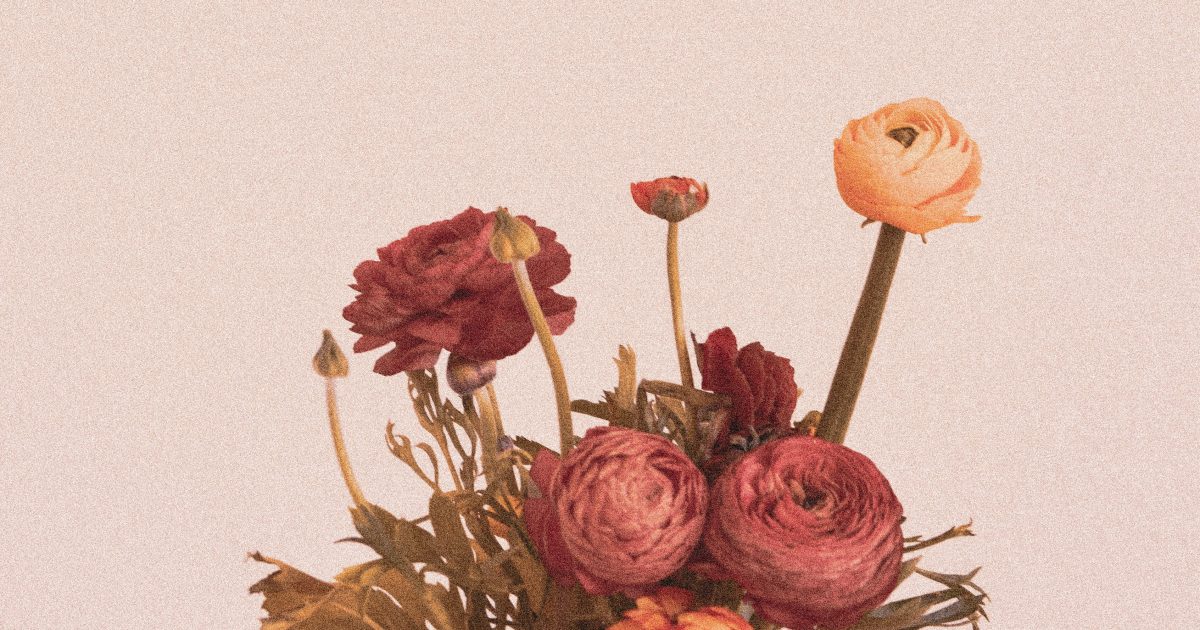 Growing Justice - Cameron Rasmussen & Sonya Shah - Inquest