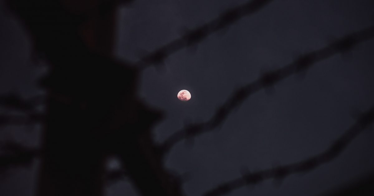 Goodnight Jail - El Jones - Inquest