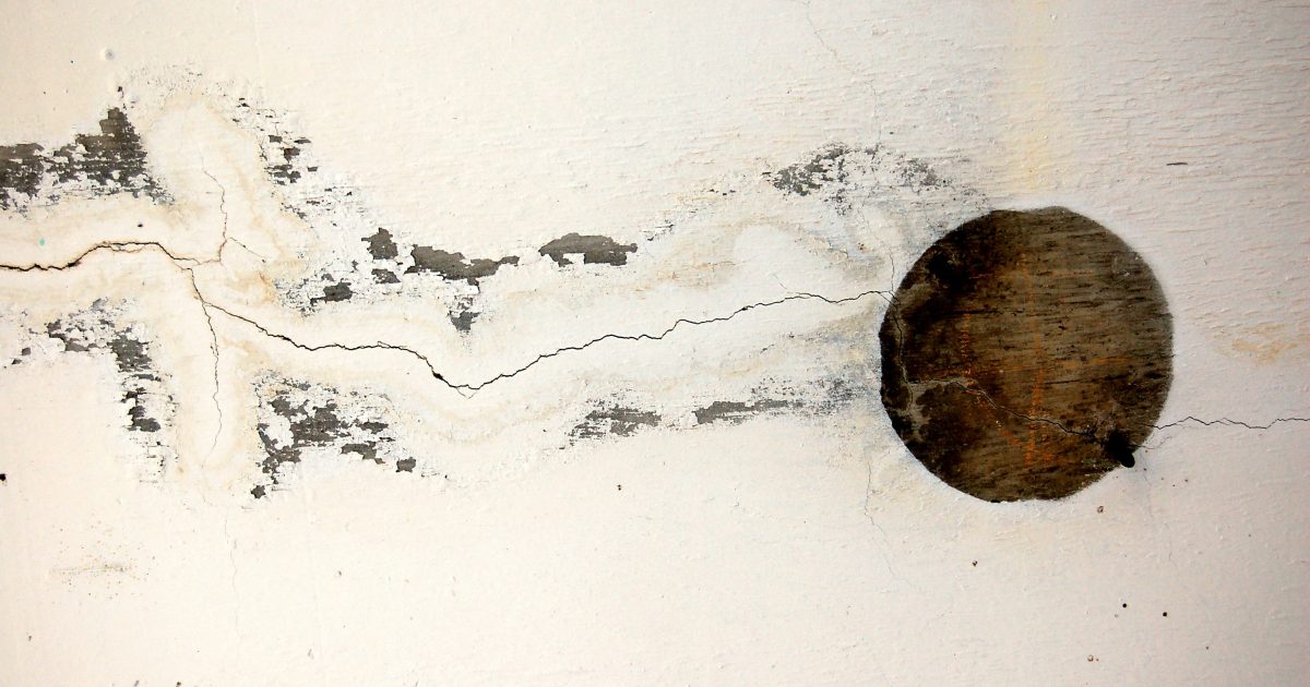 The Alchemy of Abolitionisms - Joy James - Inquest