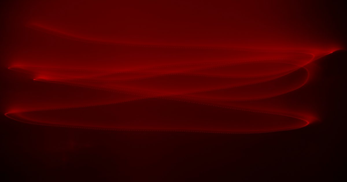 The Promise of Marronage - Celeste Winston - Inquest