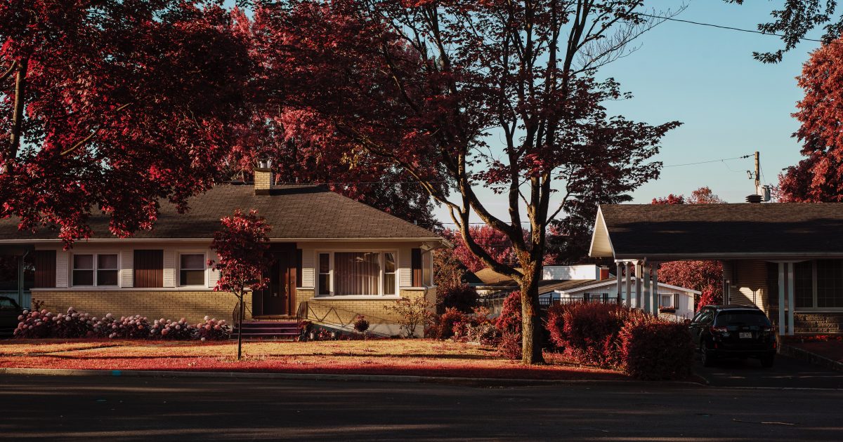 The Suburban Drug War - Matthew Lassiter - Inquest