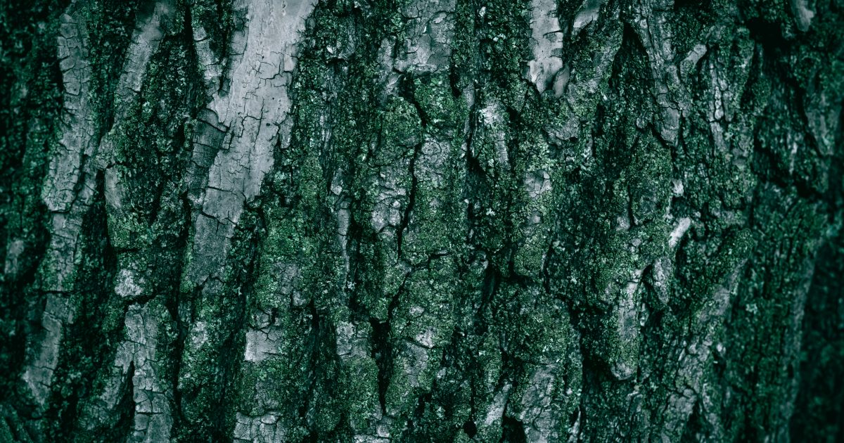 Graying in Prison - Wayne Pray - Inquest